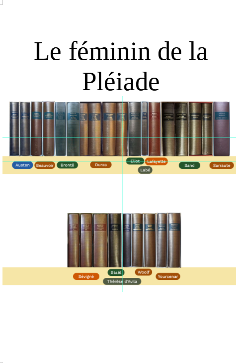 Catalogue critique de la Bibliothèque de la Pléiade