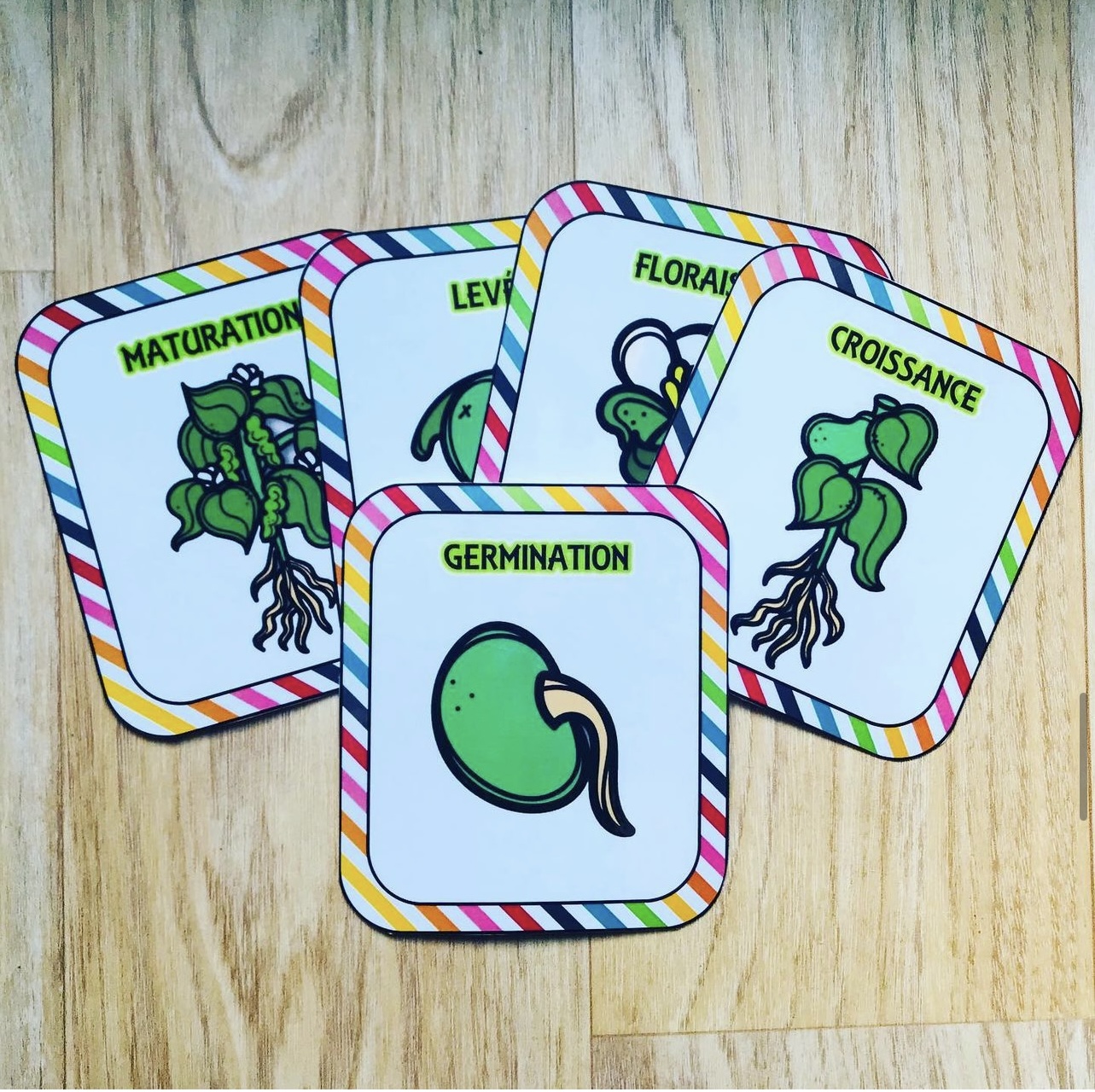 Crayons, Cahiers & Sourires - JACQUES ET LE HARICOT MAGIQUE