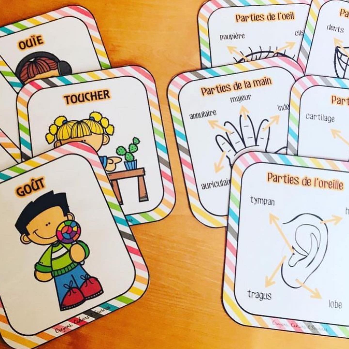 Crayons, Cahiers & Sourires - 5 SENS