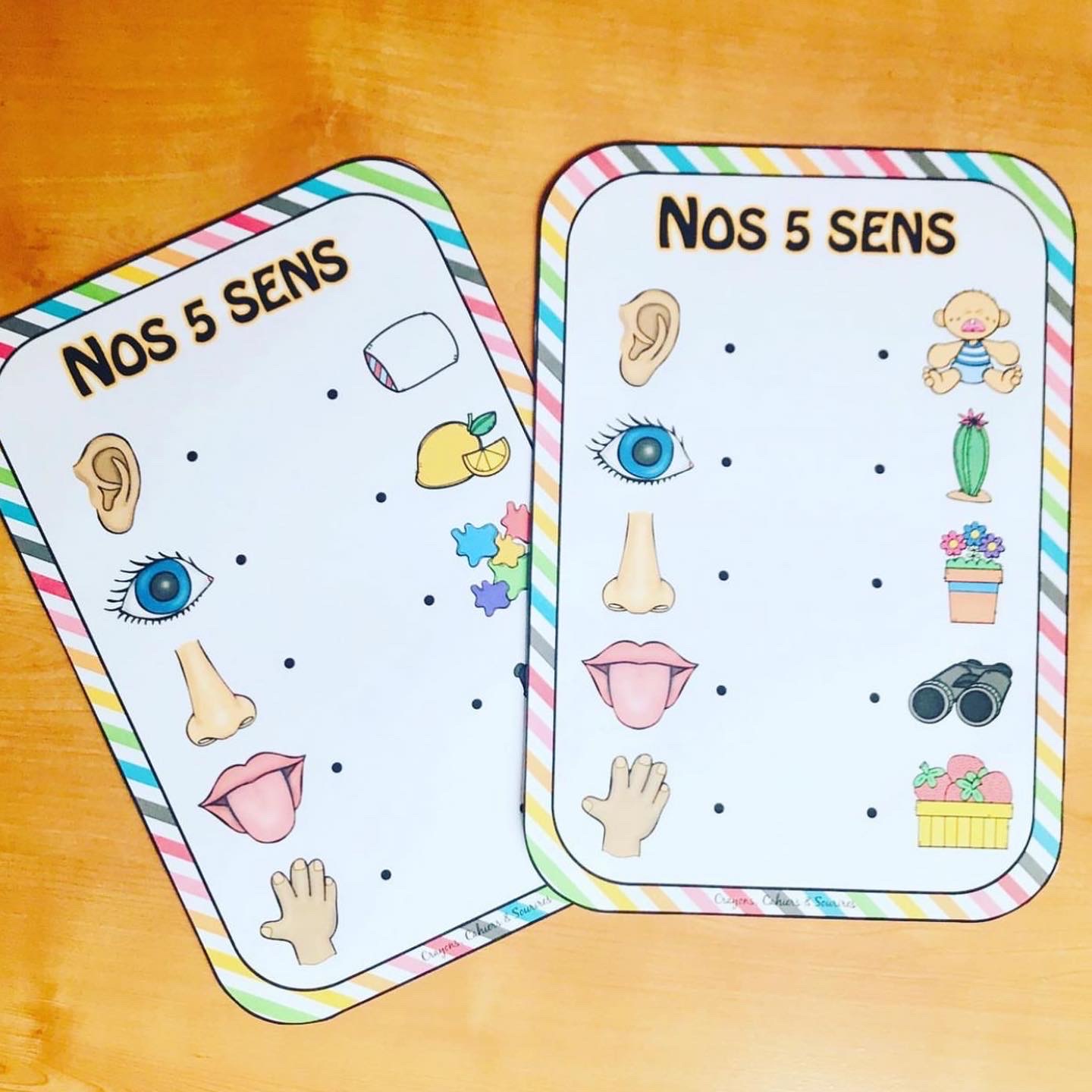 Crayons, Cahiers & Sourires - 5 SENS