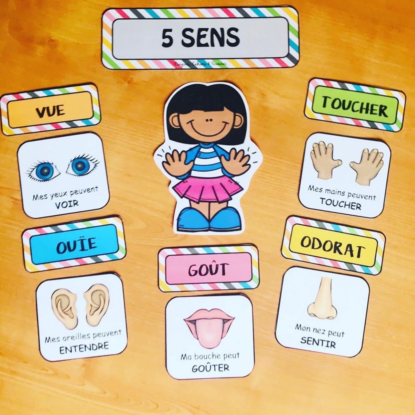 Crayons, Cahiers & Sourires - 5 SENS