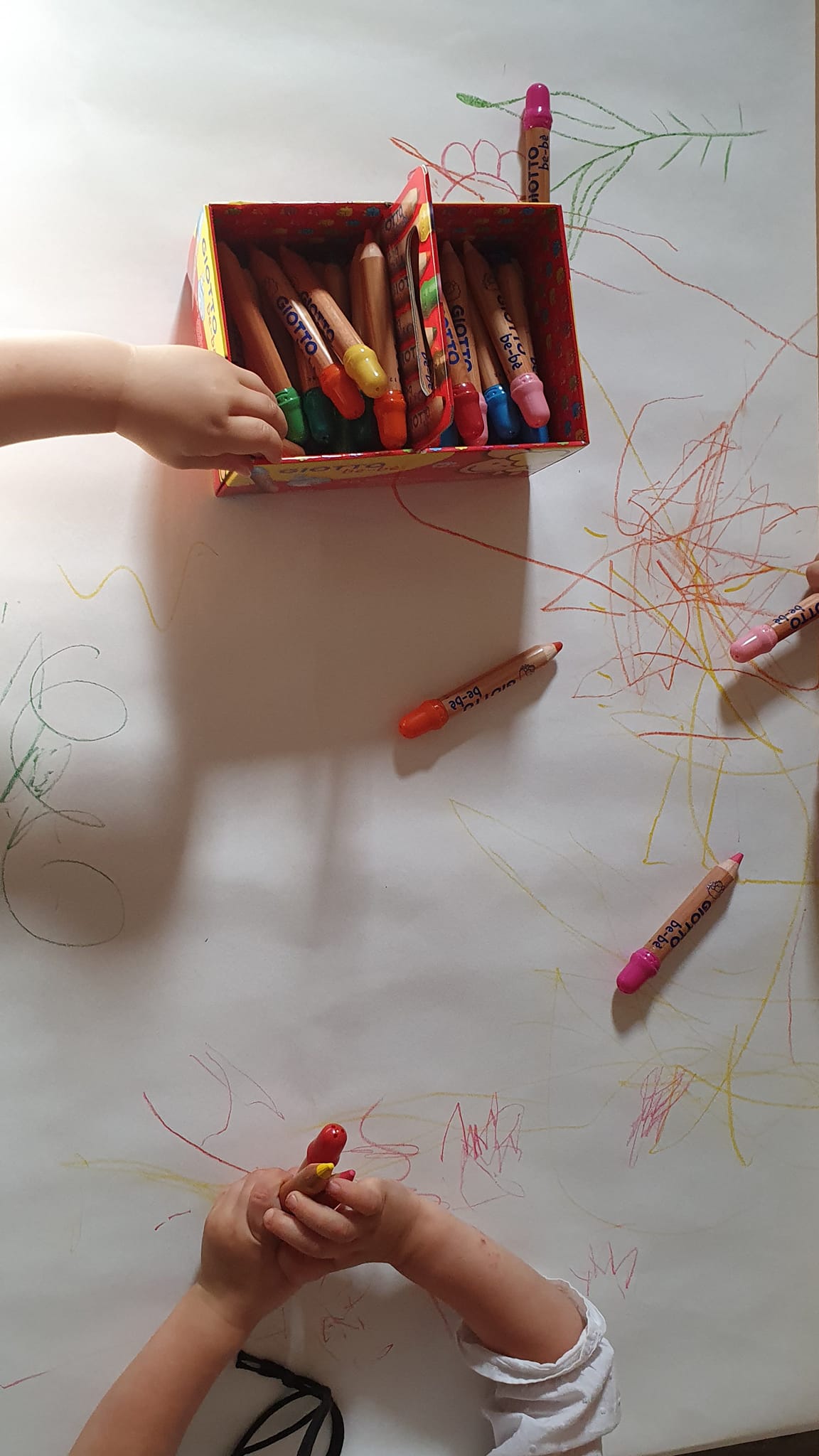 Micro-crèche Graines d'éveil Salomé